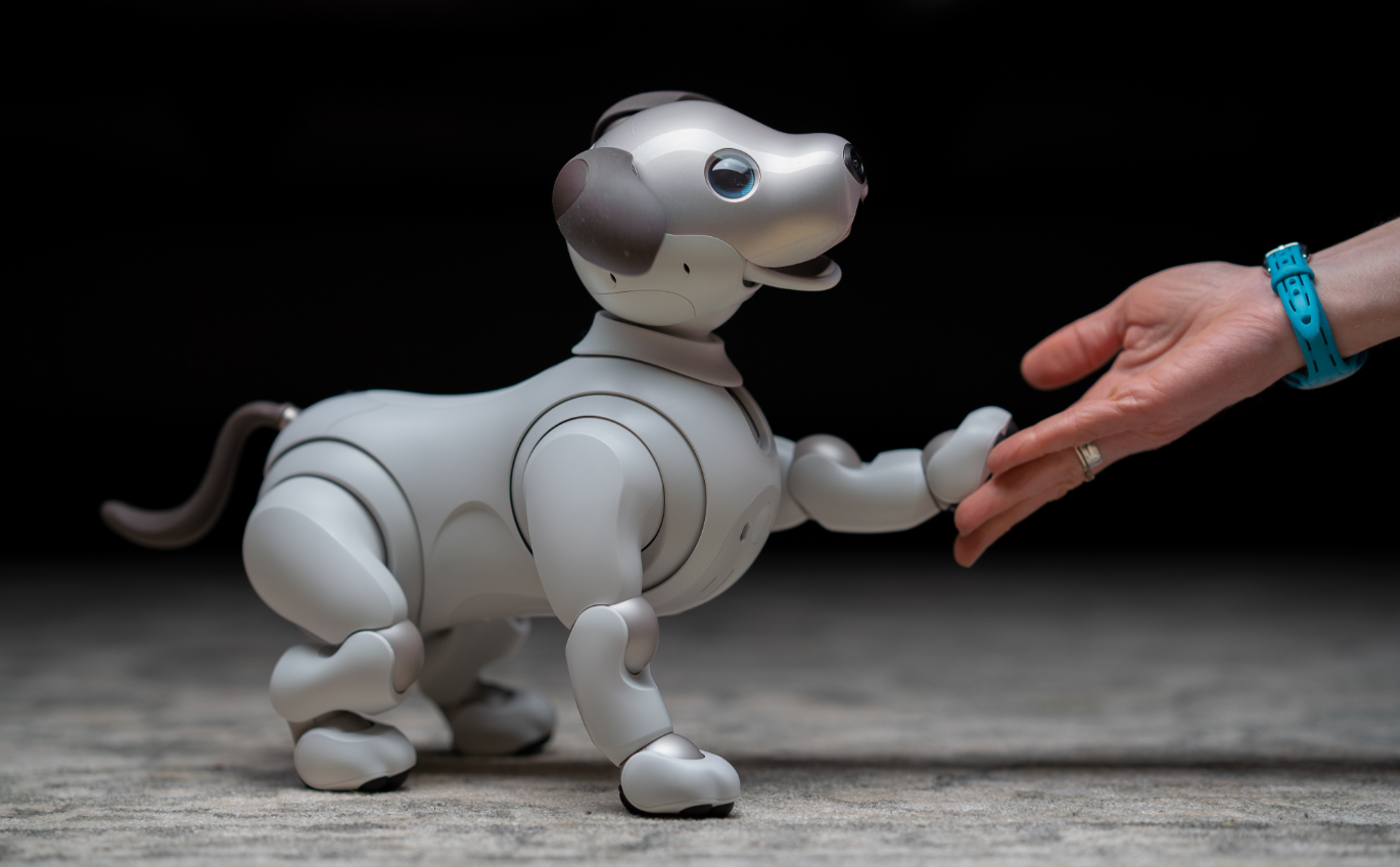 Tips & Tricks | Aibo Community Hub